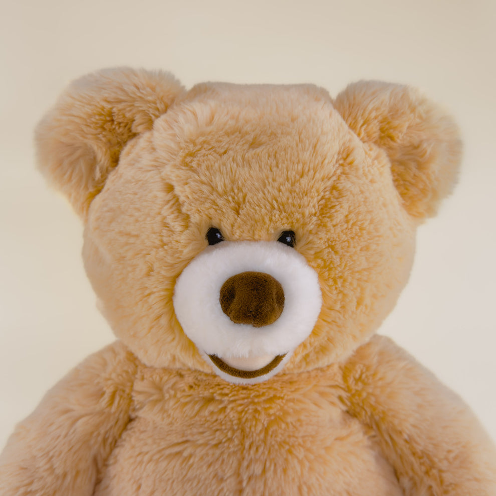 Theo the Teddy Bear – Ultra-Soft 60cm Plush Toy | TeddyChamps
