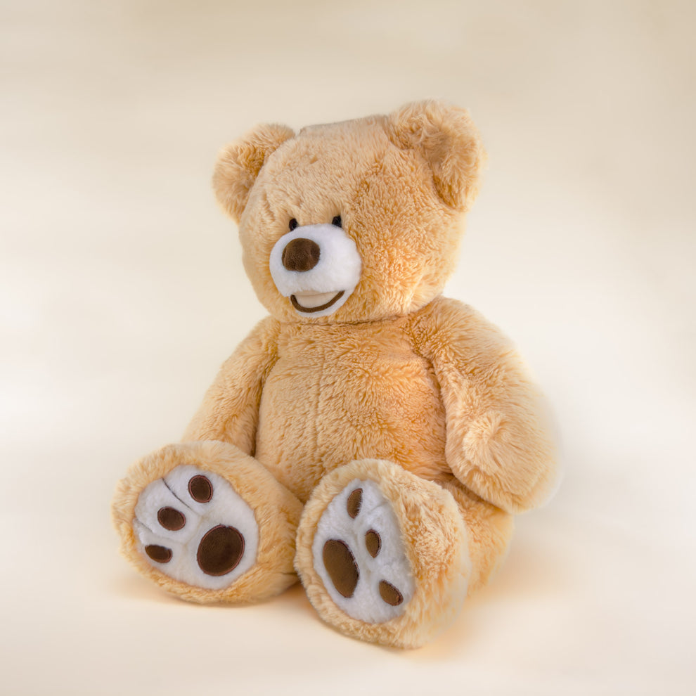 Theo the Teddy Bear – Ultra-Soft 60cm Plush Toy | TeddyChamps