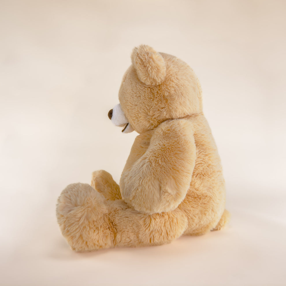 Theo the Teddy Bear – Ultra-Soft 60cm Plush Toy | TeddyChamps